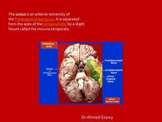 Full story brain herniation imaging Dr Ahmed Esawy | PDF