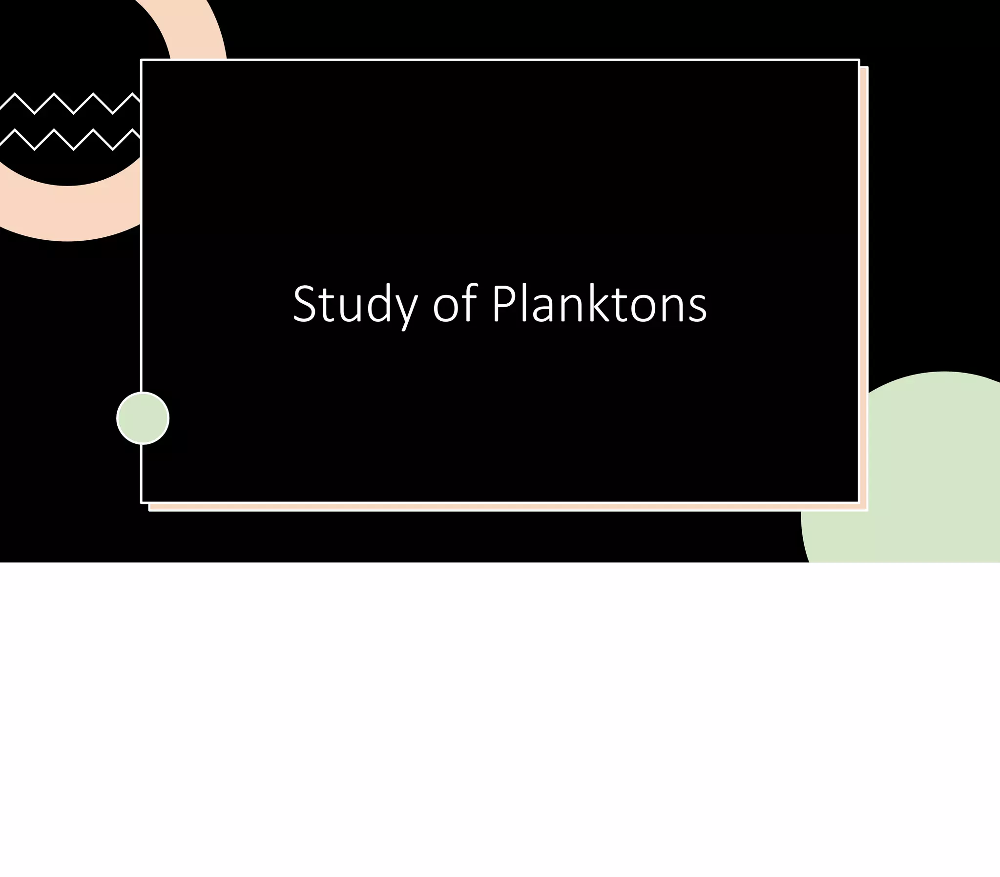 full study of zooplankton and phytoplankton.pptx
