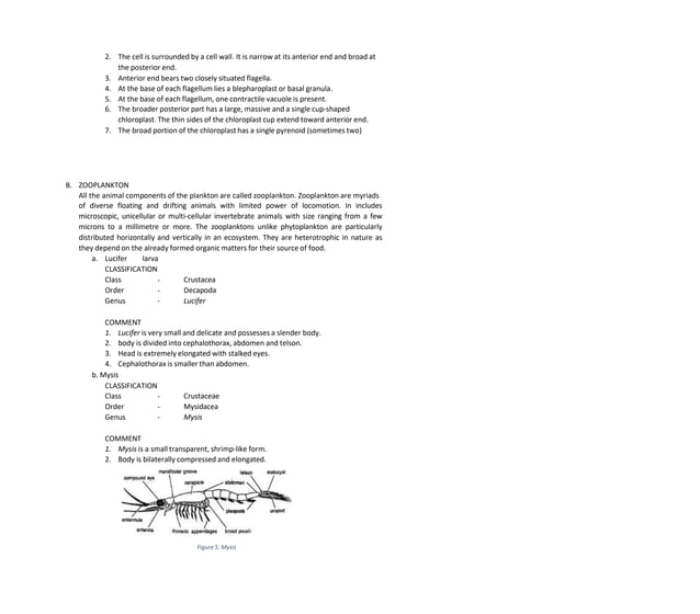 full study of zooplankton and phytoplankton.pptx | Geography | Science