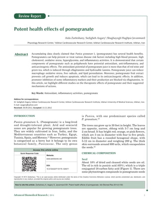 Pomegranate information for health care.pdf