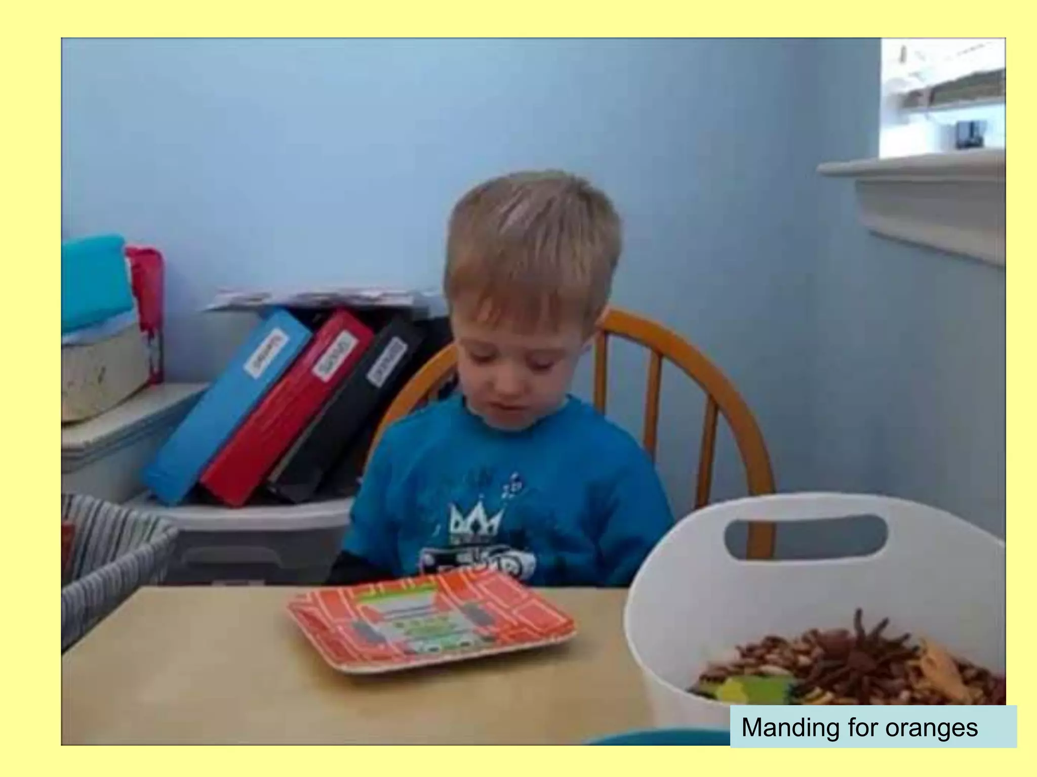 Full verbal behavior | PPT