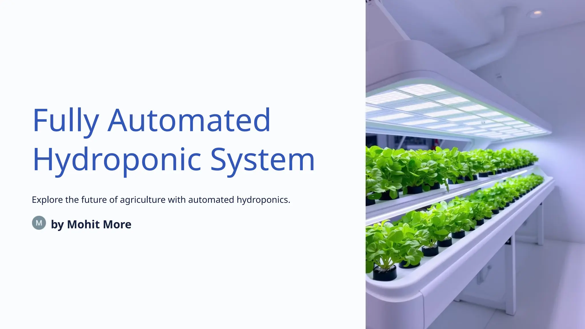 Fully-Automated-Hyffdroponic-System.pptx