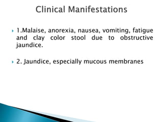 Fulminant hepatic failure.ppt
