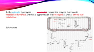 Fumarase enzyme | PPTX