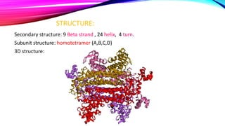Fumarase enzyme | PPTX