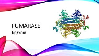 Fumarase enzyme | PPTX