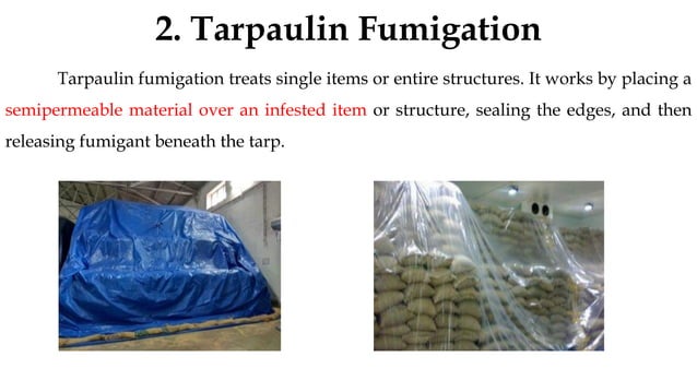 Fumigation- Types and Methods | PDF | Gardening | Home & Garden