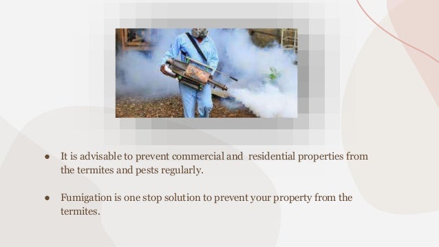 Fumigation_ An Effective Pest Control Method For Food Industry