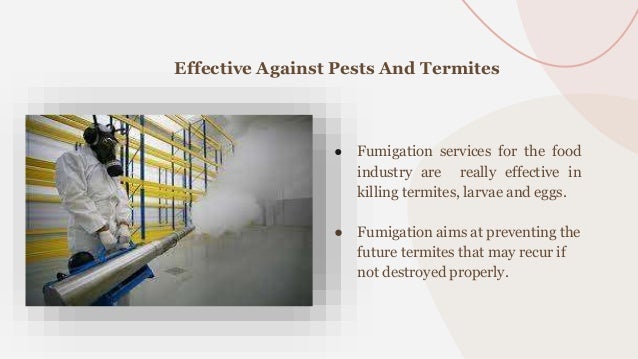 Fumigation_ An Effective Pest Control Method For Food Industry
