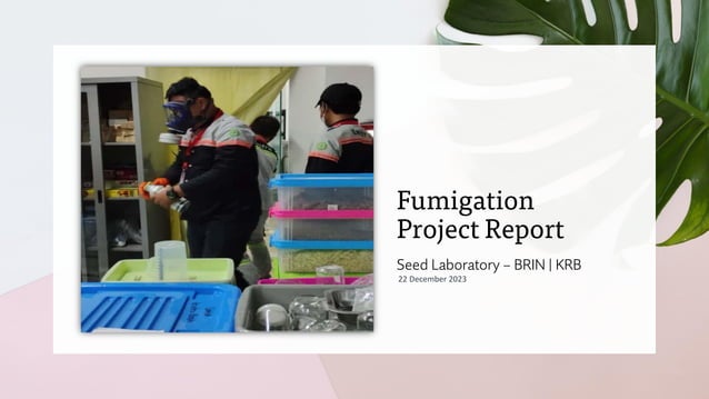 Fumigation is the process of using chemical smoke to kill pests like insects or rodents. An ...