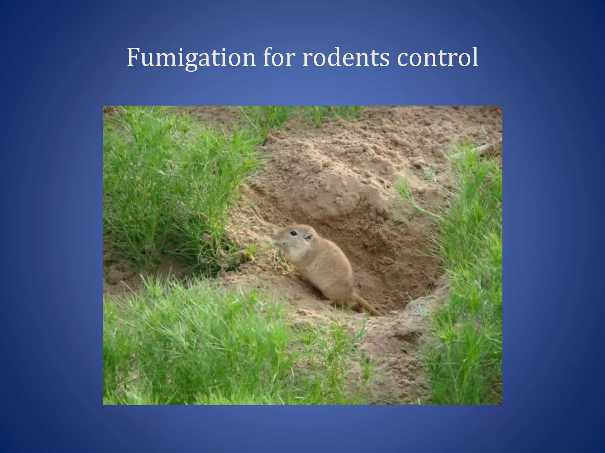 Fumigation techniques for pest control | PPTX