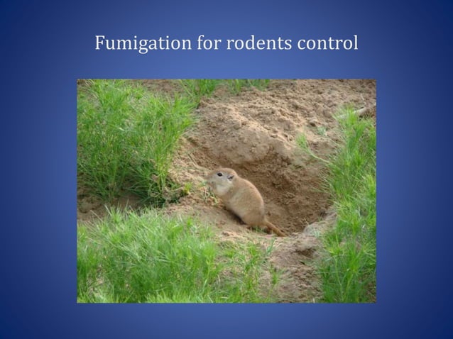 Fumigation techniques for pest control | PPTX