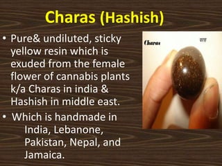 Fumitories and masticatories | PPTX