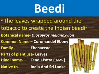 Fumitories and masticatories | PPTX