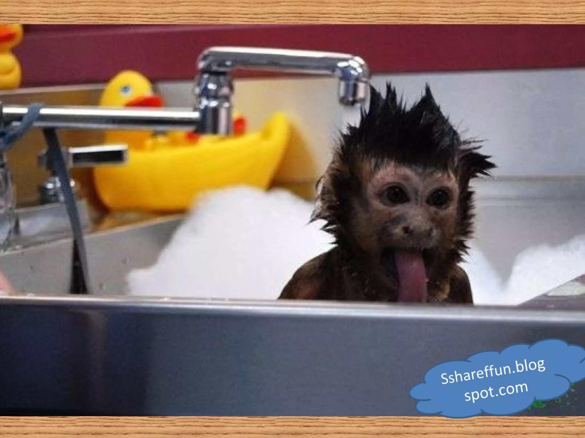 Funny amazing clicks | PPT