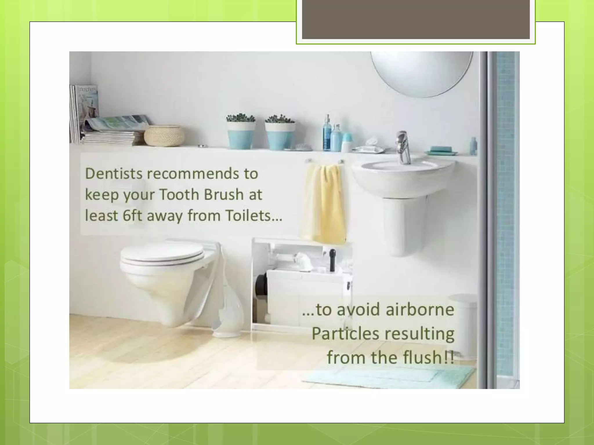 Interesting facts powerpoint | PPTX