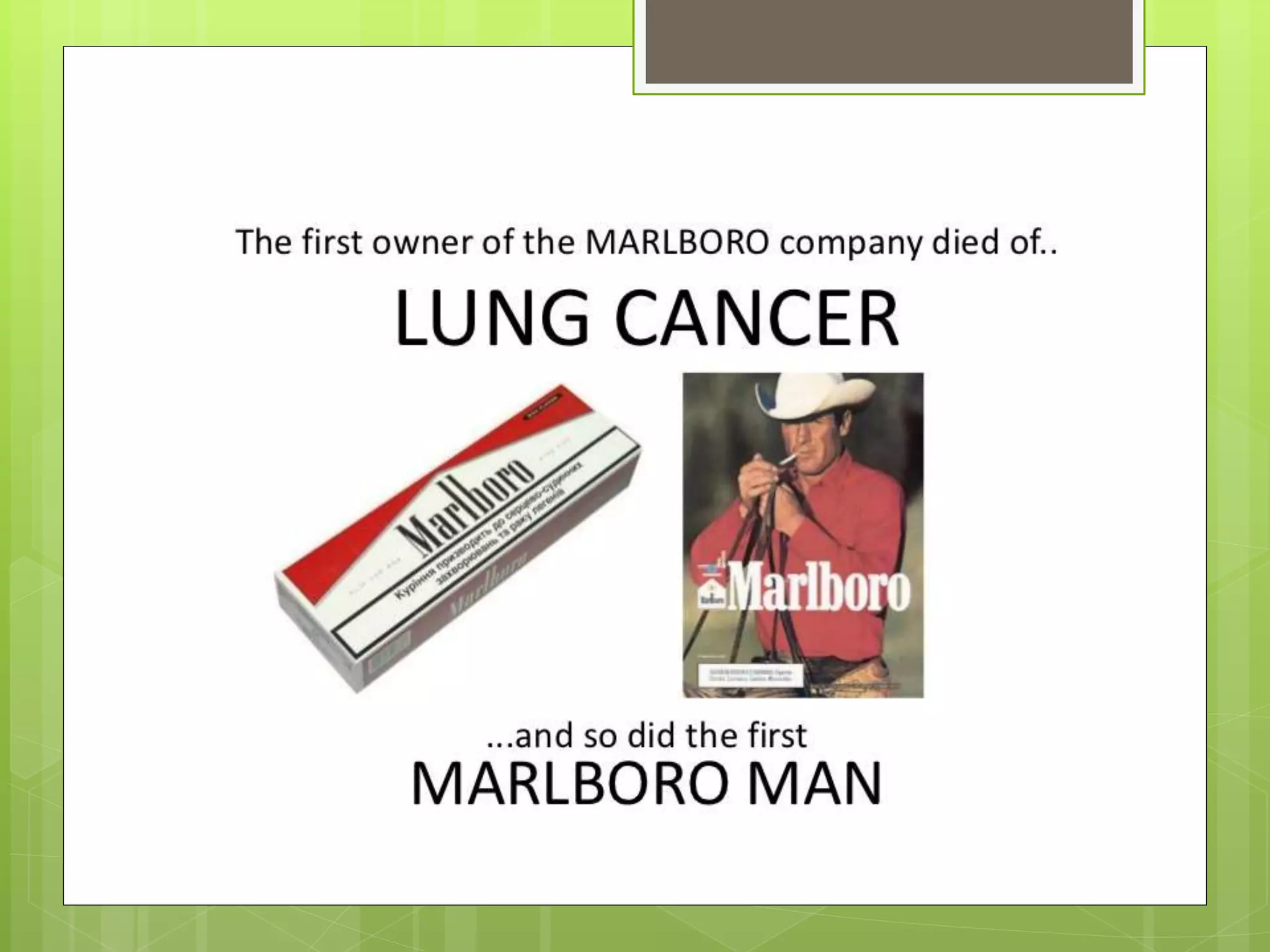 Interesting facts powerpoint | PPTX