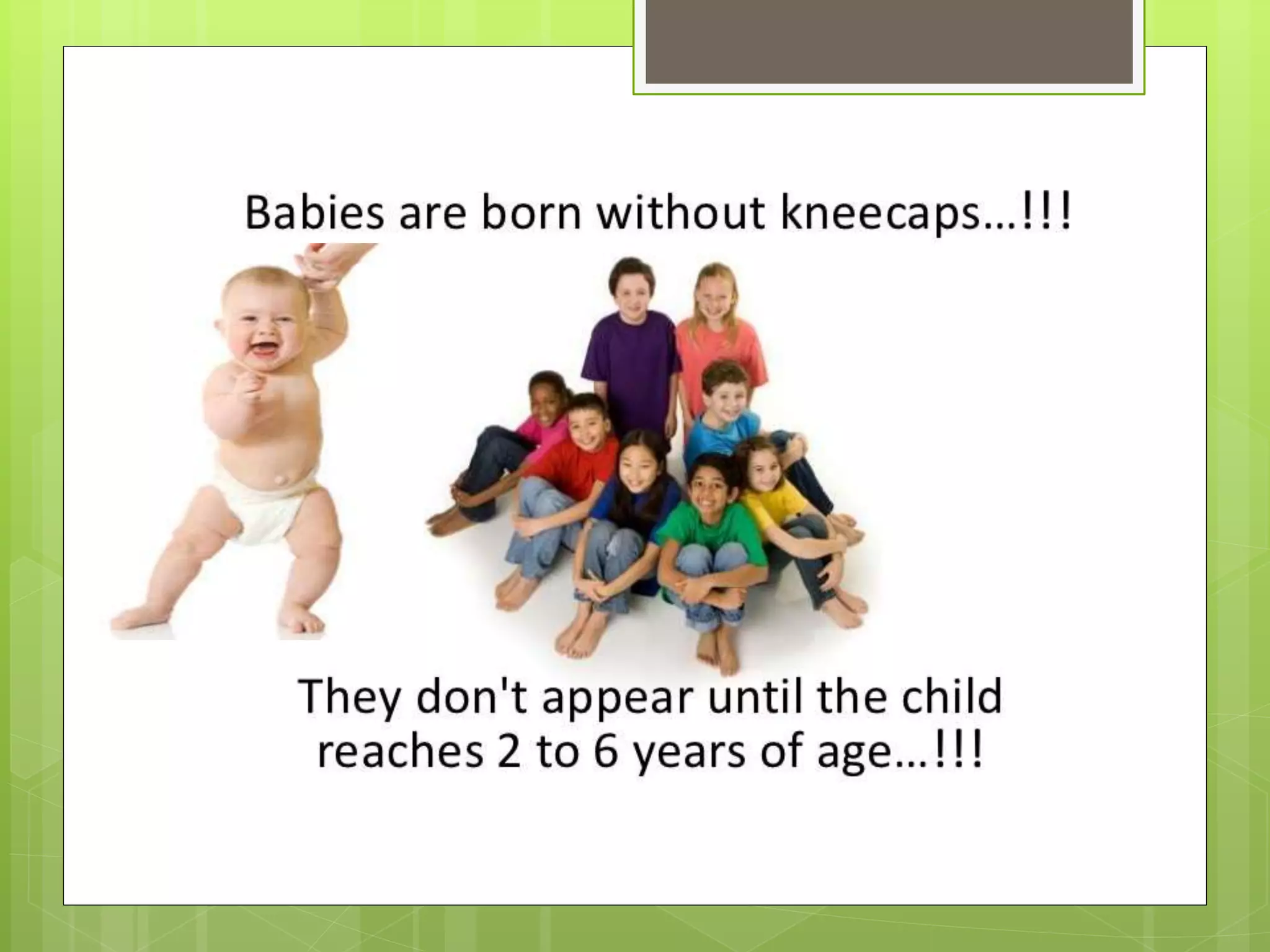 Interesting facts powerpoint | PPTX