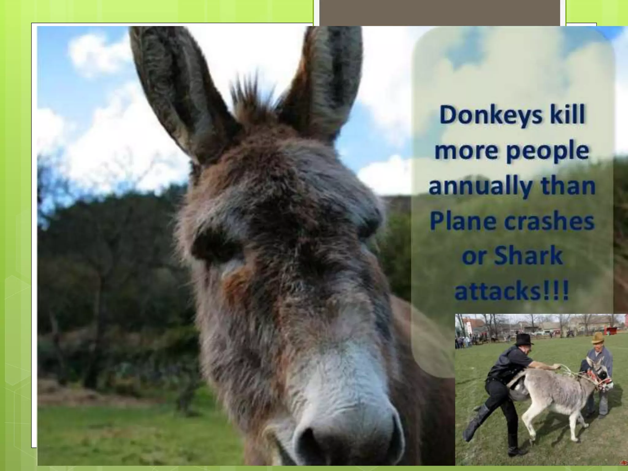 Interesting facts powerpoint | PPTX