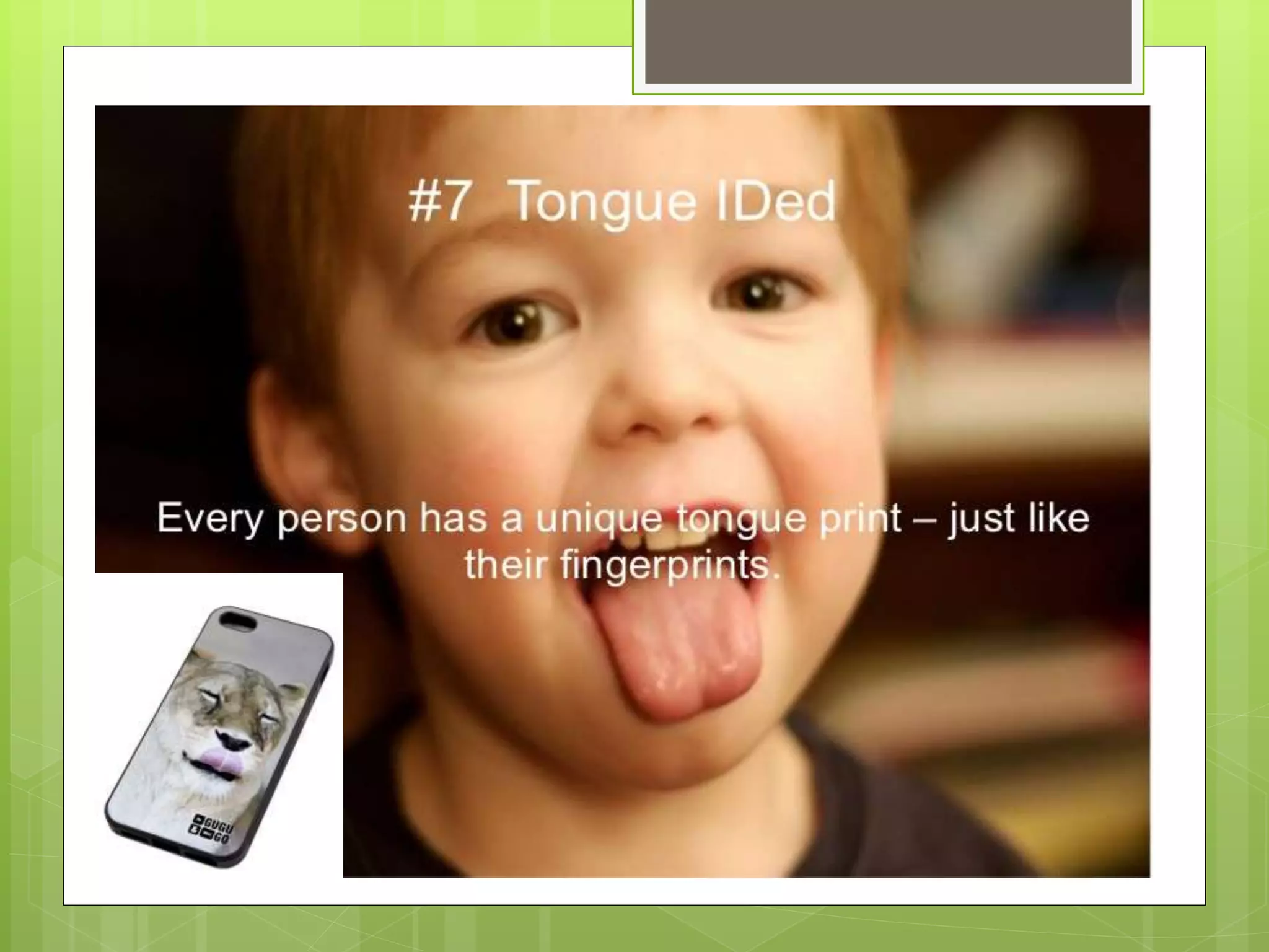 Interesting facts powerpoint | PPTX