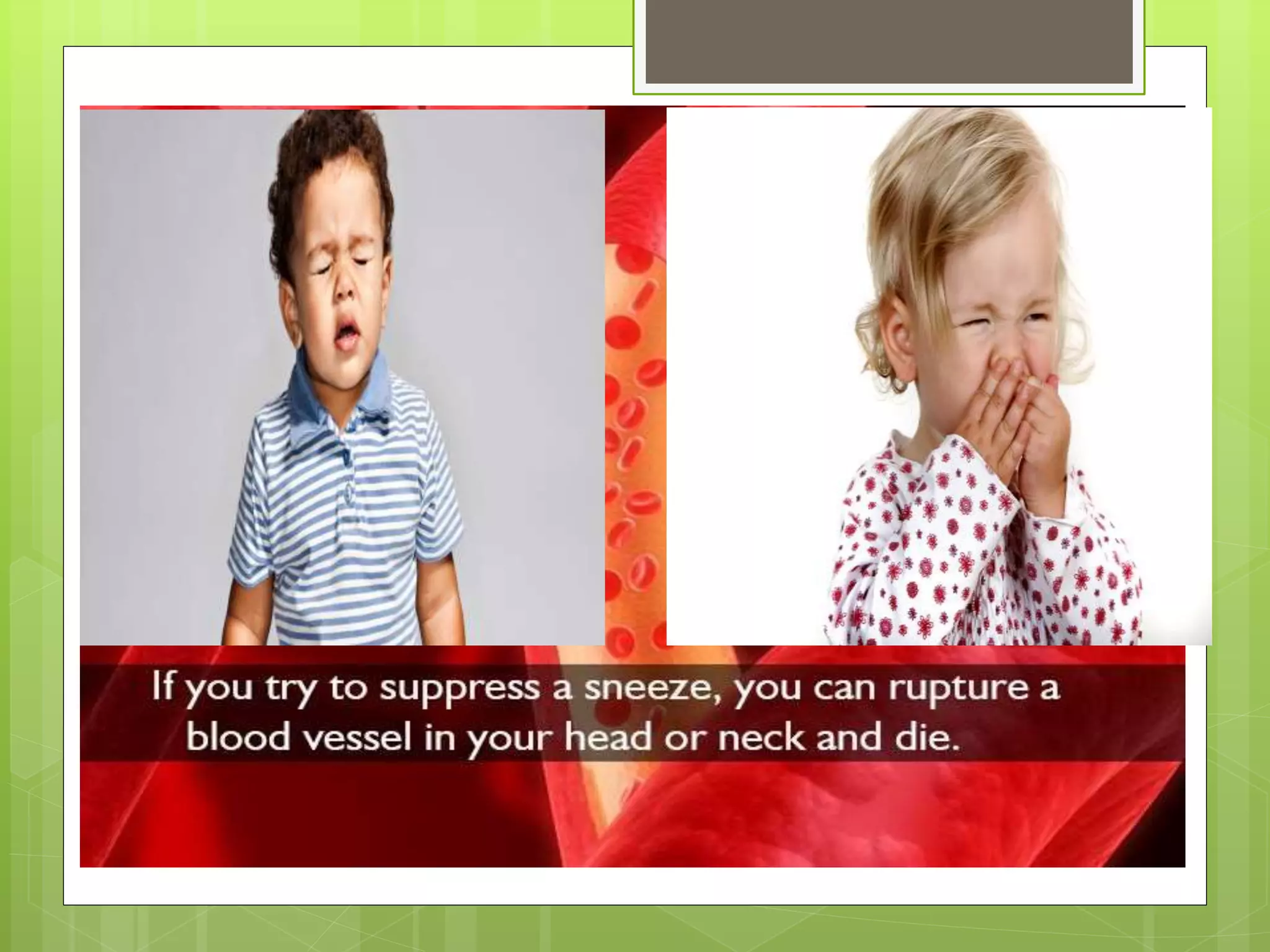 Interesting facts powerpoint | PPTX