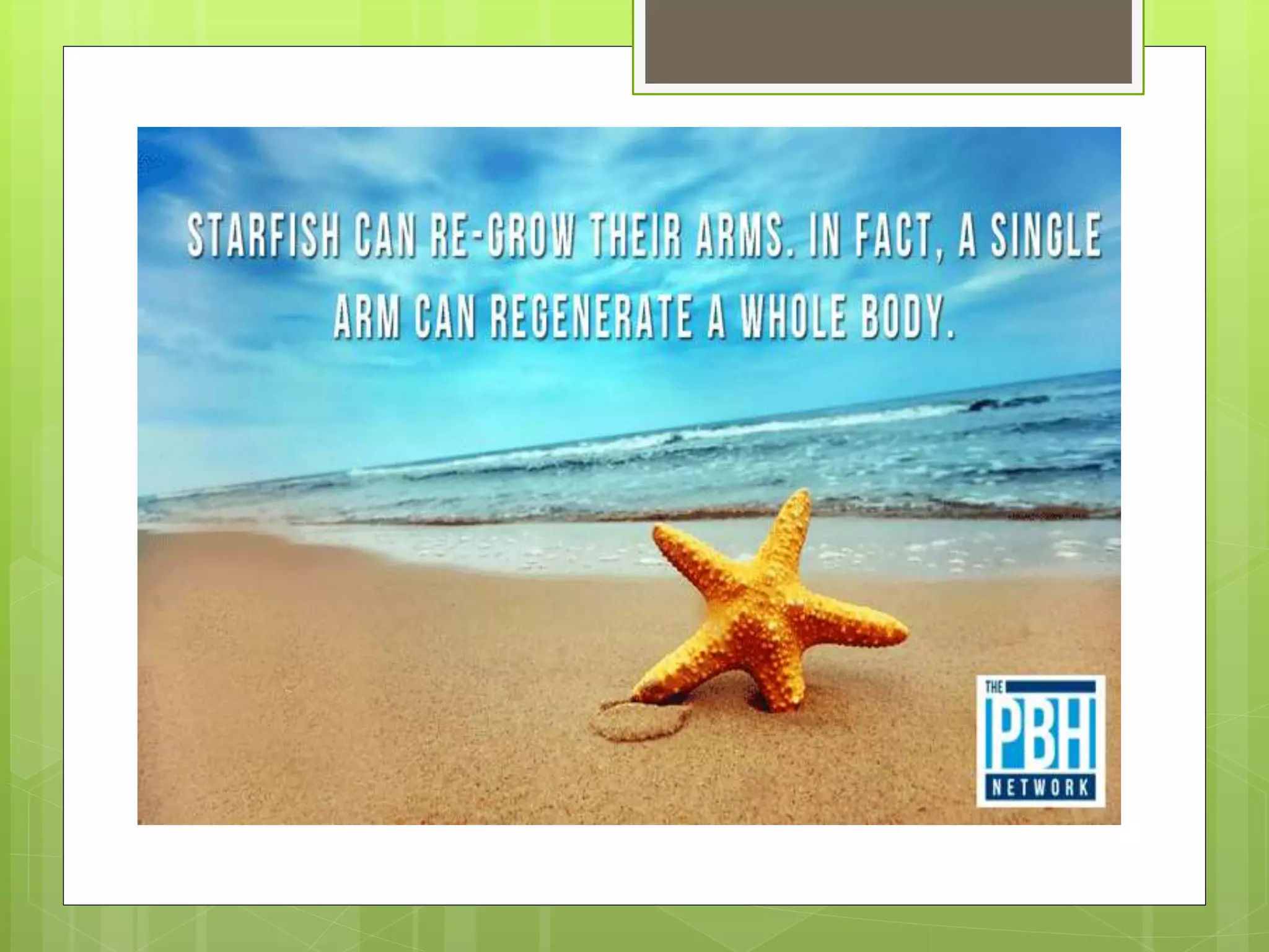 Interesting facts powerpoint | PPTX