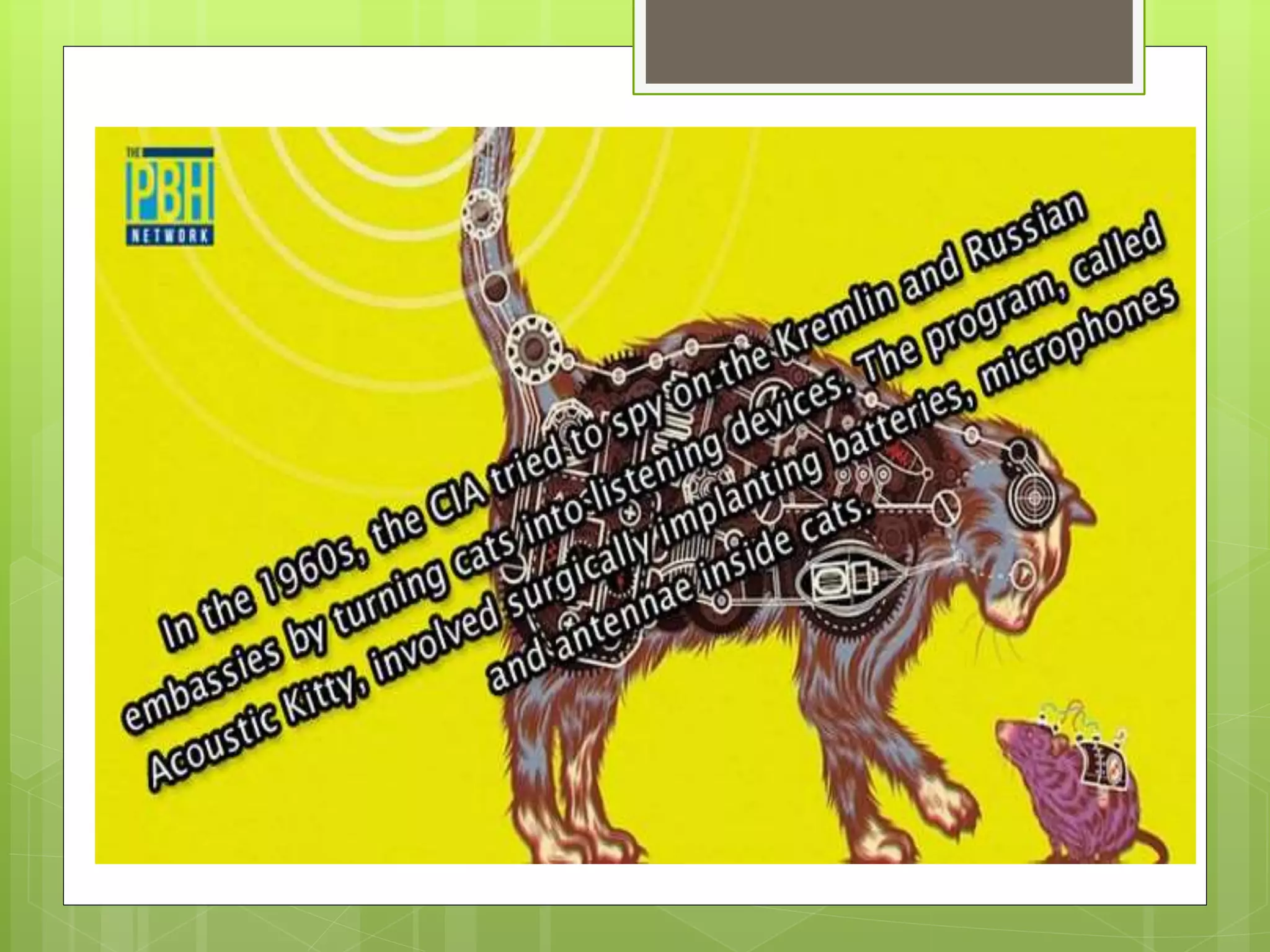 Interesting facts powerpoint | PPTX