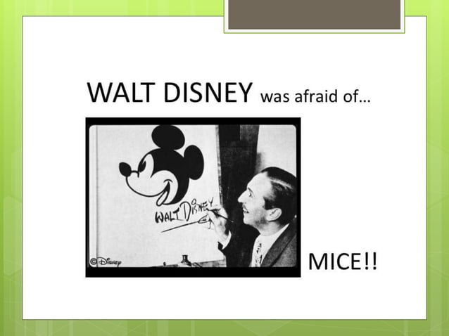 Interesting facts powerpoint | PPTX