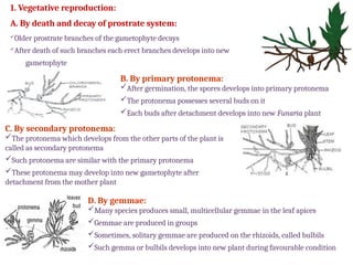 Life cycle of Funaria, member of class Bryopsida.ppt