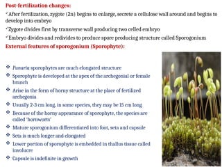 Life cycle of Funaria, member of class Bryopsida.ppt