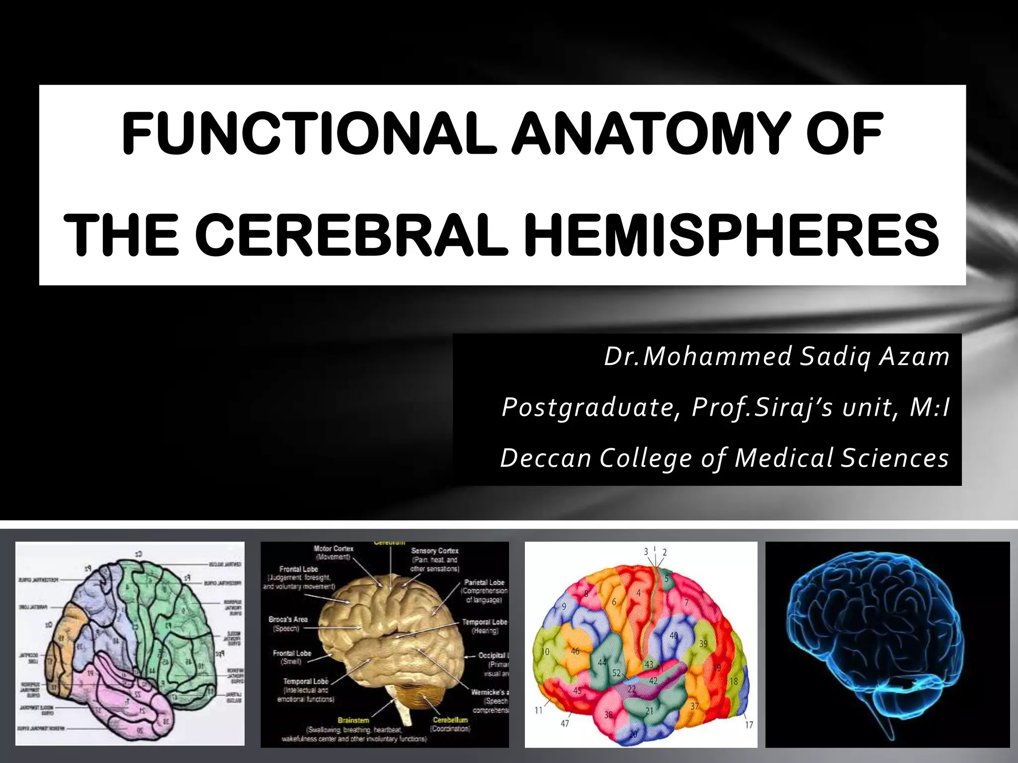 Brodmann's areas of the cerebral cortex | PPTX
