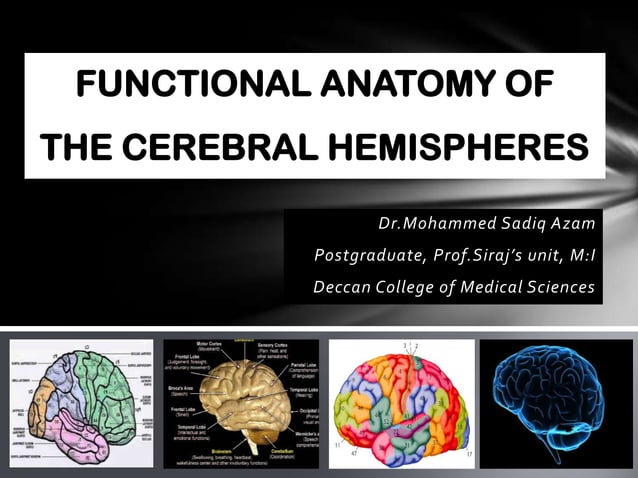 Brodmann's areas of the cerebral cortex | PPTX | Brain and Nervous System Disorders | Diseases ...