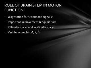 Brodmann's areas of the cerebral cortex | PPTX
