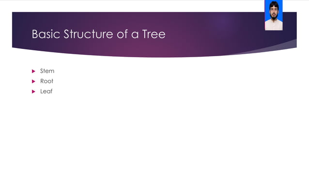 Funcational Structure of Tree | PDF