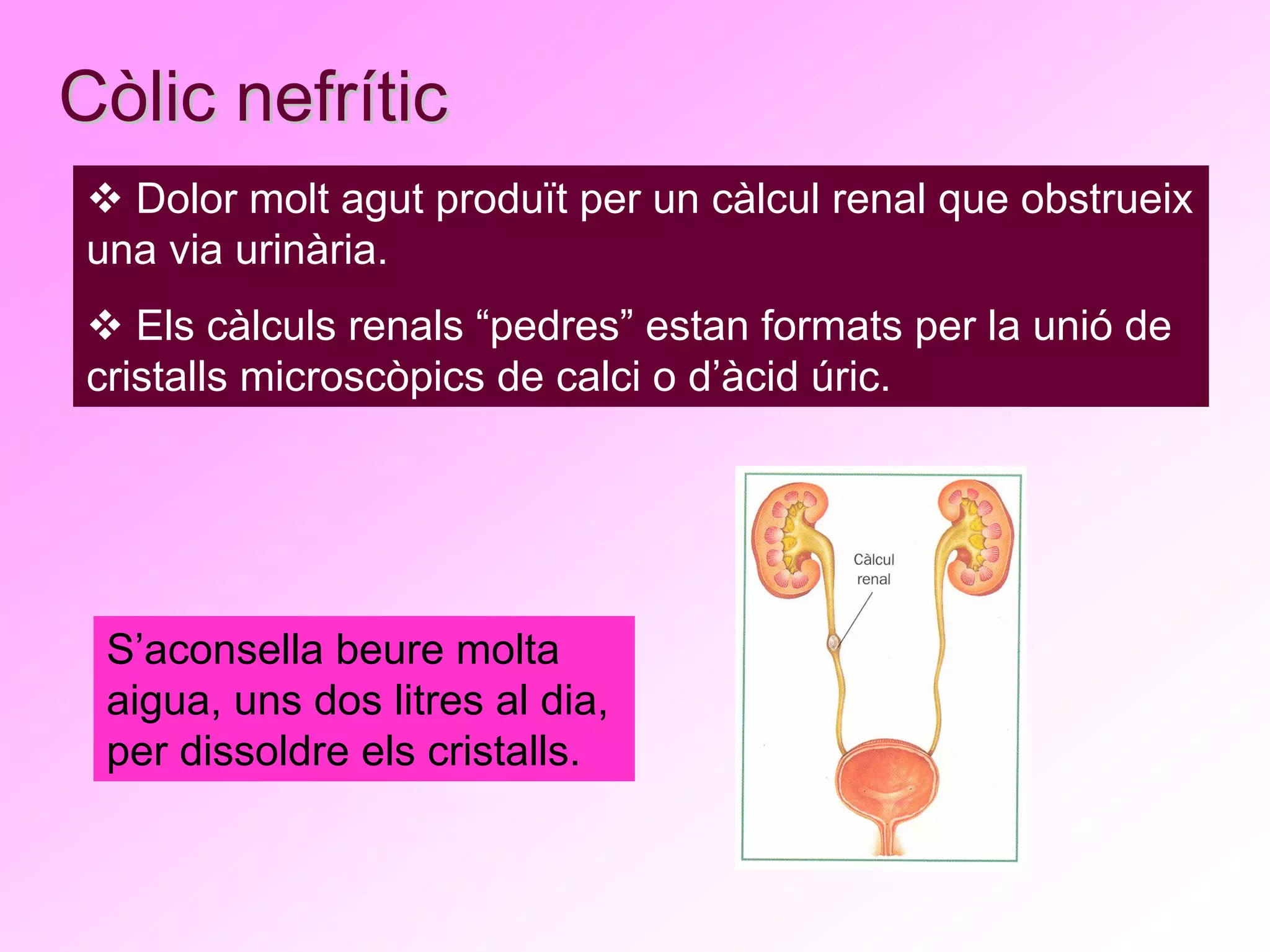 Funció de nutrició, malalties i trastorns | PDF