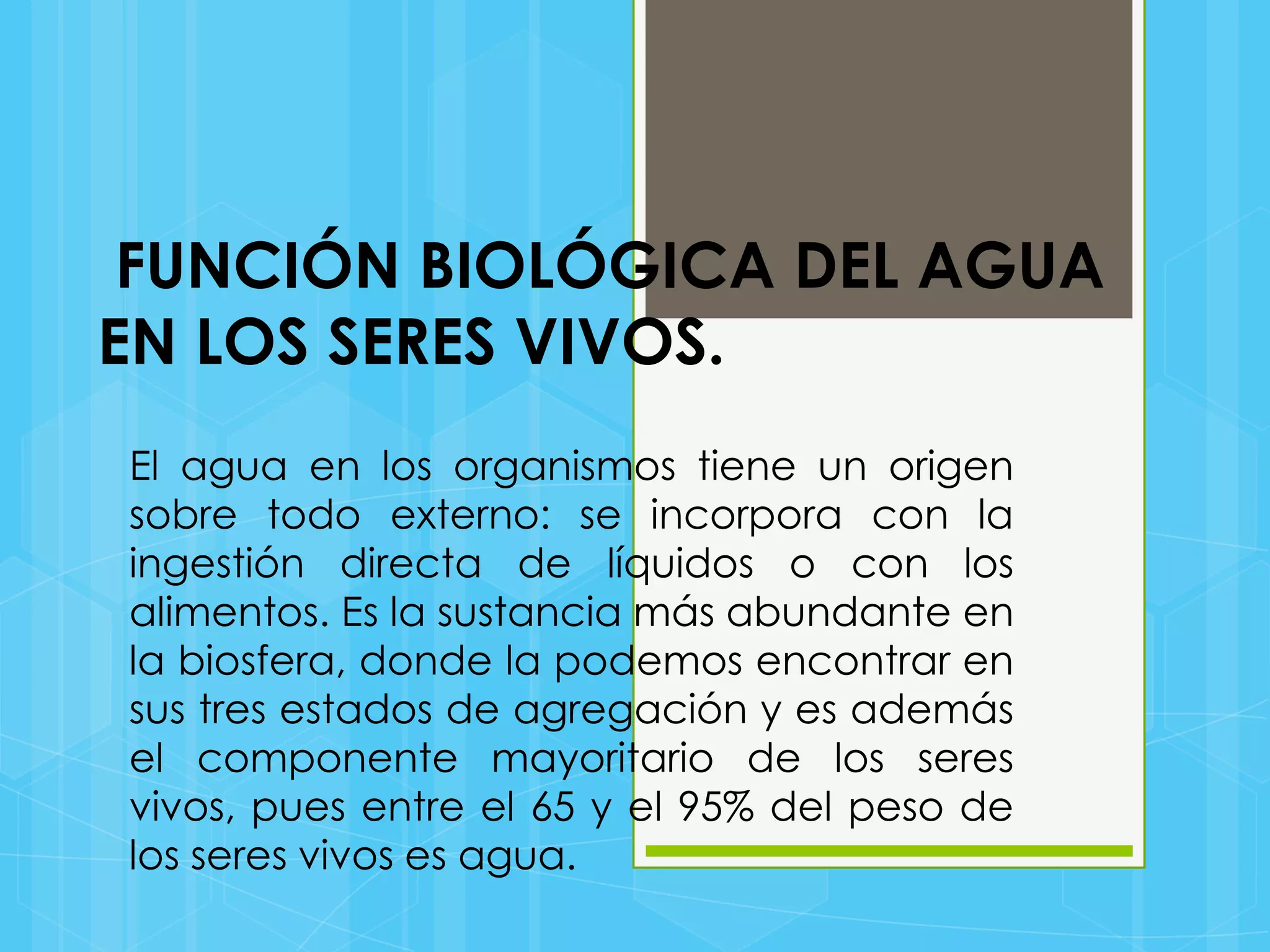 FUNCIONES BIOLÓGICAS DEL AGUA EN LOS SERES VIVOS. BIOELEMENTOS Y ...