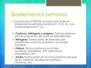 FUNCIONES BIOLÓGICAS DEL AGUA EN LOS SERES VIVOS. BIOELEMENTOS Y ...