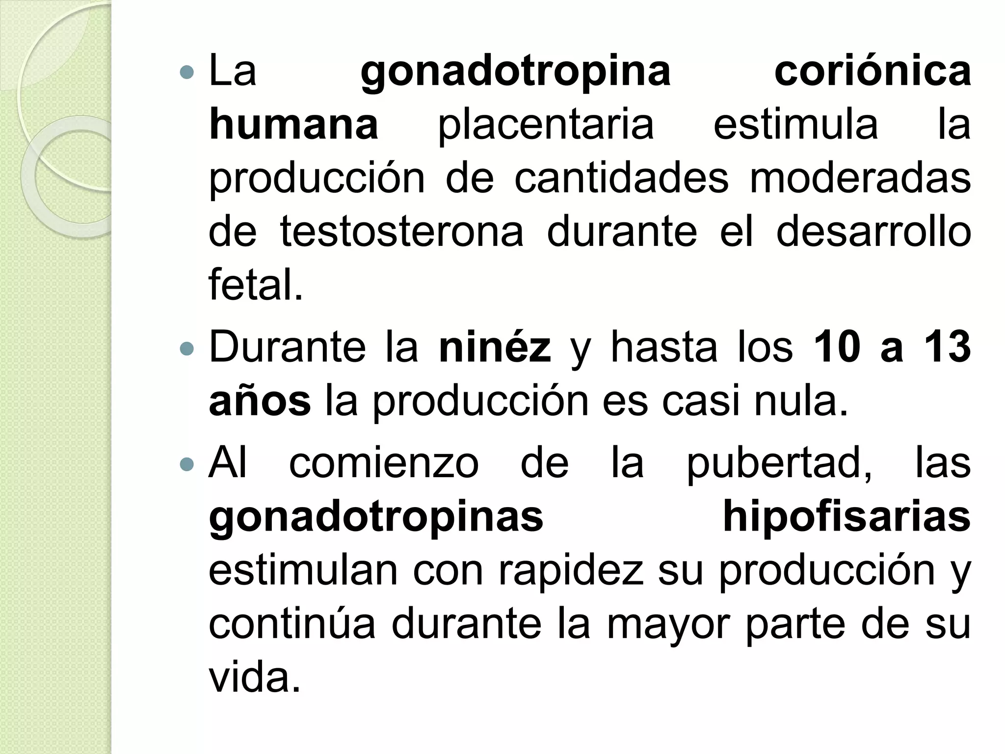 Función de las vesículas seminales | PPTX