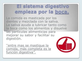 Función del sistema digestivo | PPTX