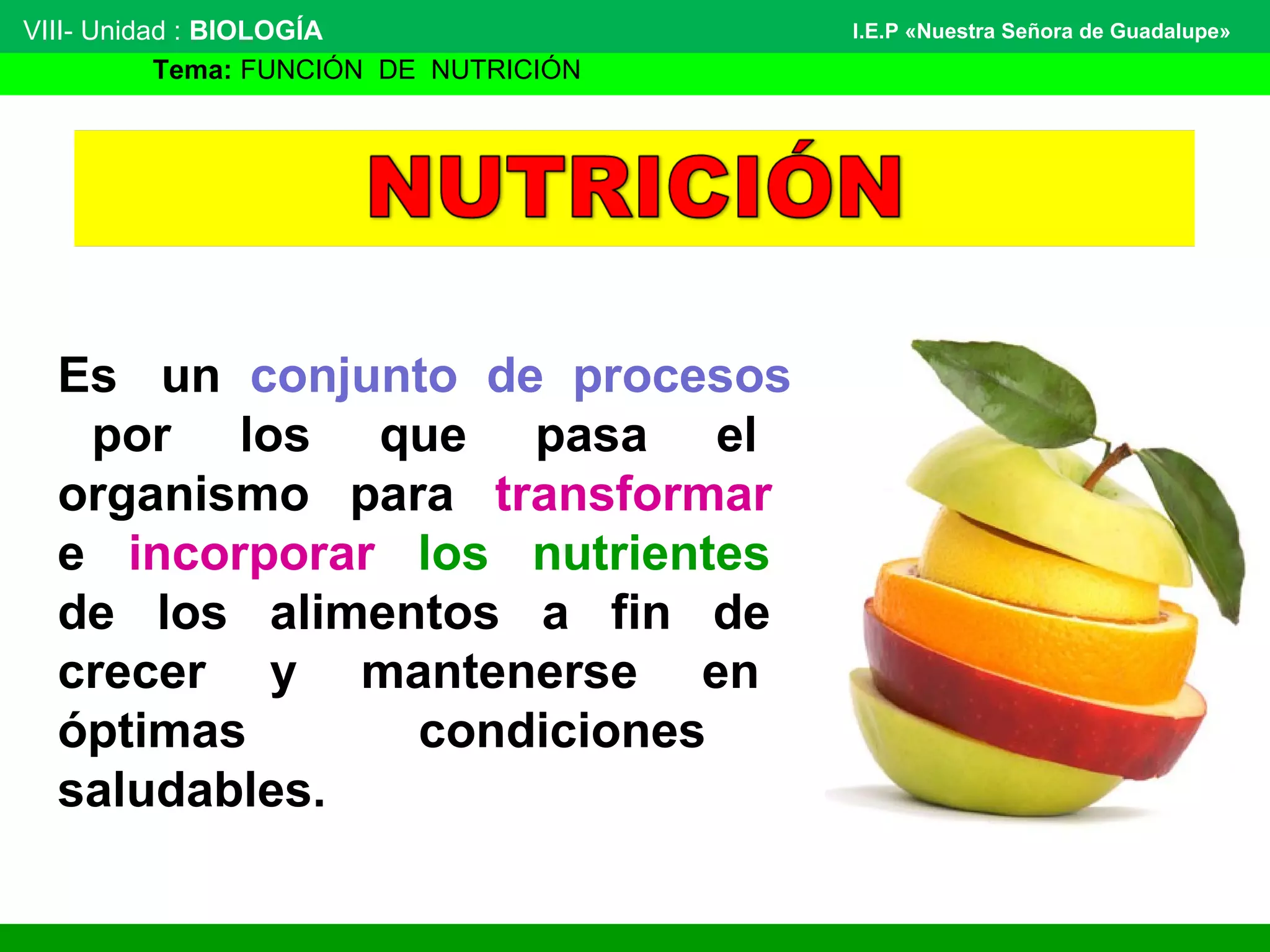 Función de nutrición | PPT