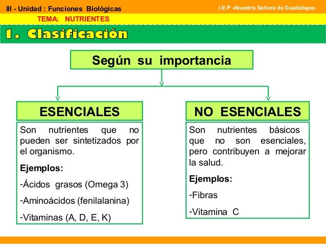 Función de nutrición