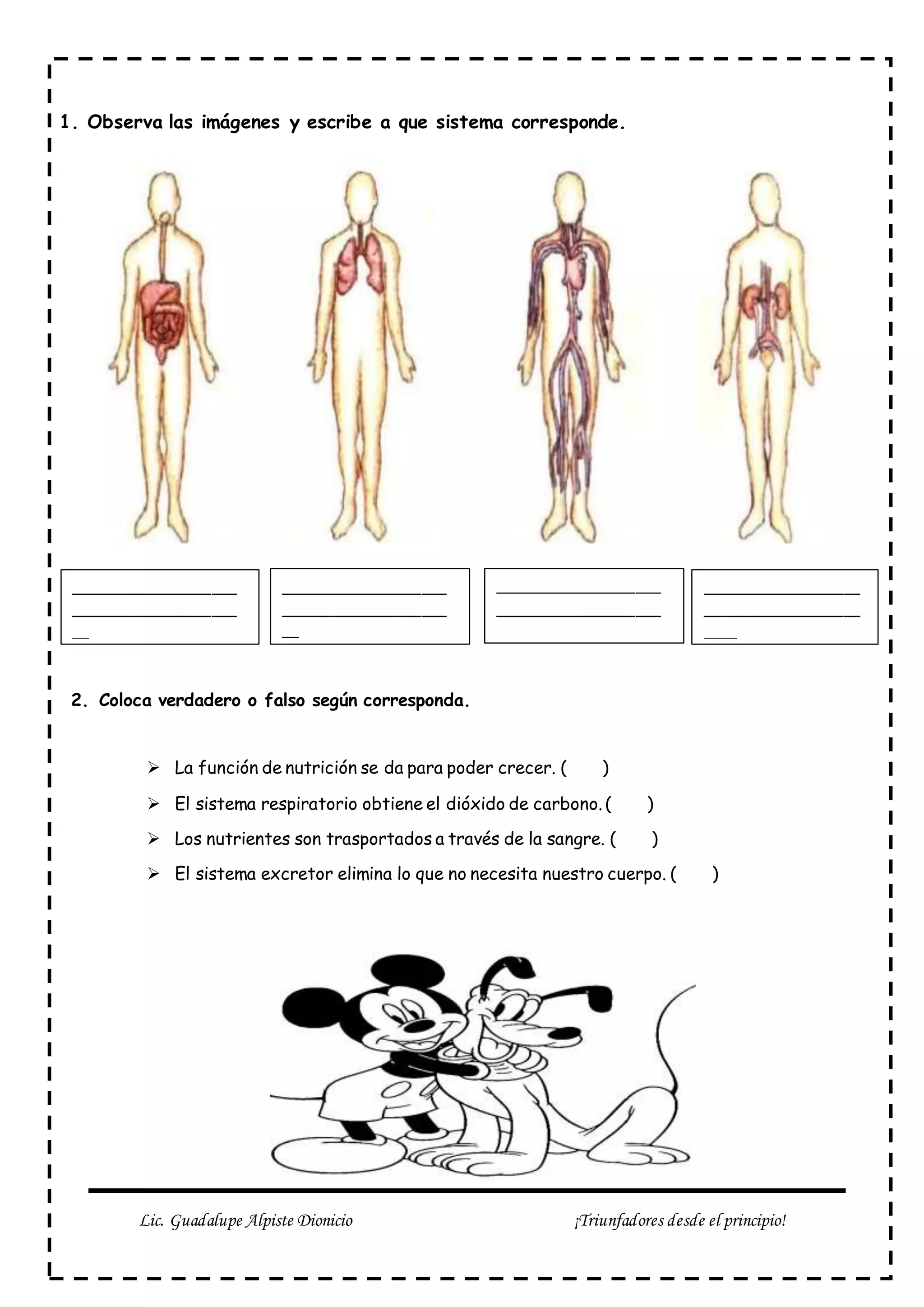 Función de nutrición | DOCX