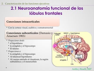 Función ejecutiva y síndromes - Neuropsicología | PPTX