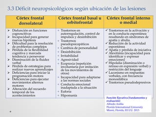 Función ejecutiva y síndromes - Neuropsicología | PPTX