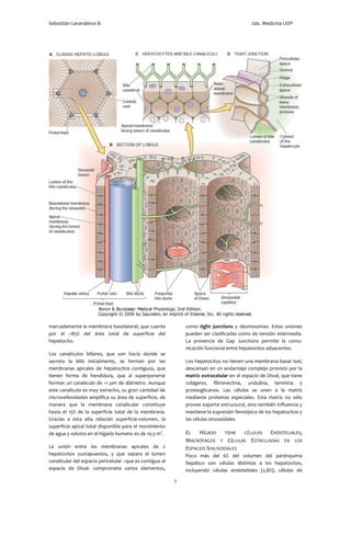 Función hepatobiliar | PDF