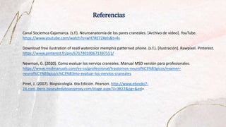 Función y localización anatómica de los pares craneales | PPTX