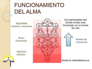 Funcionamientodelalmakabala 111114230944-phpapp02 | PPTX