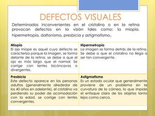 Funcionamiento del ojo humano | PPTX