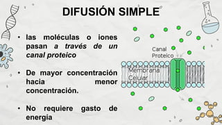 FUNCIONAMIENTO Y MOVIMIENTO CELULAR.pptx