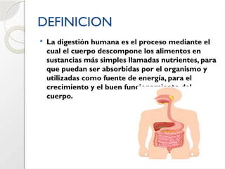 FUNCION DE DIGESTION HUMANA.pptxaaaaaaaa | PPTX